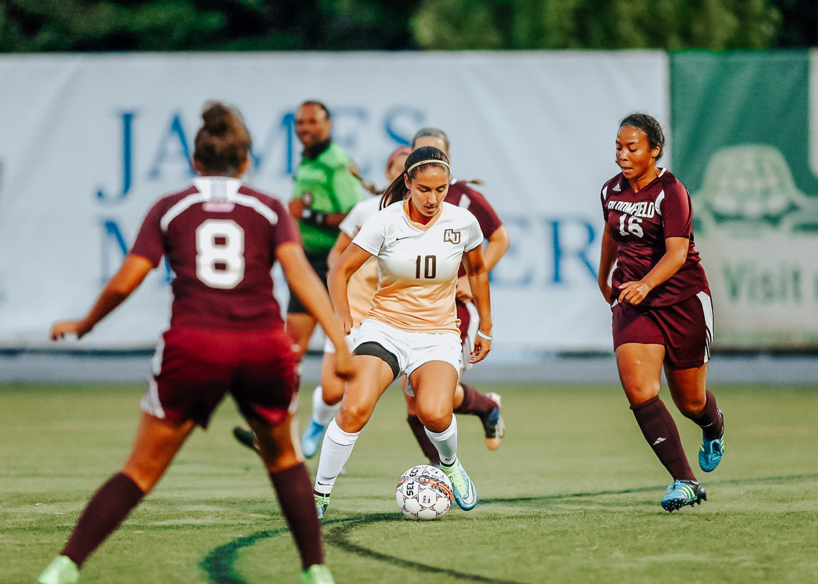 Adelphi University | Athleticademix