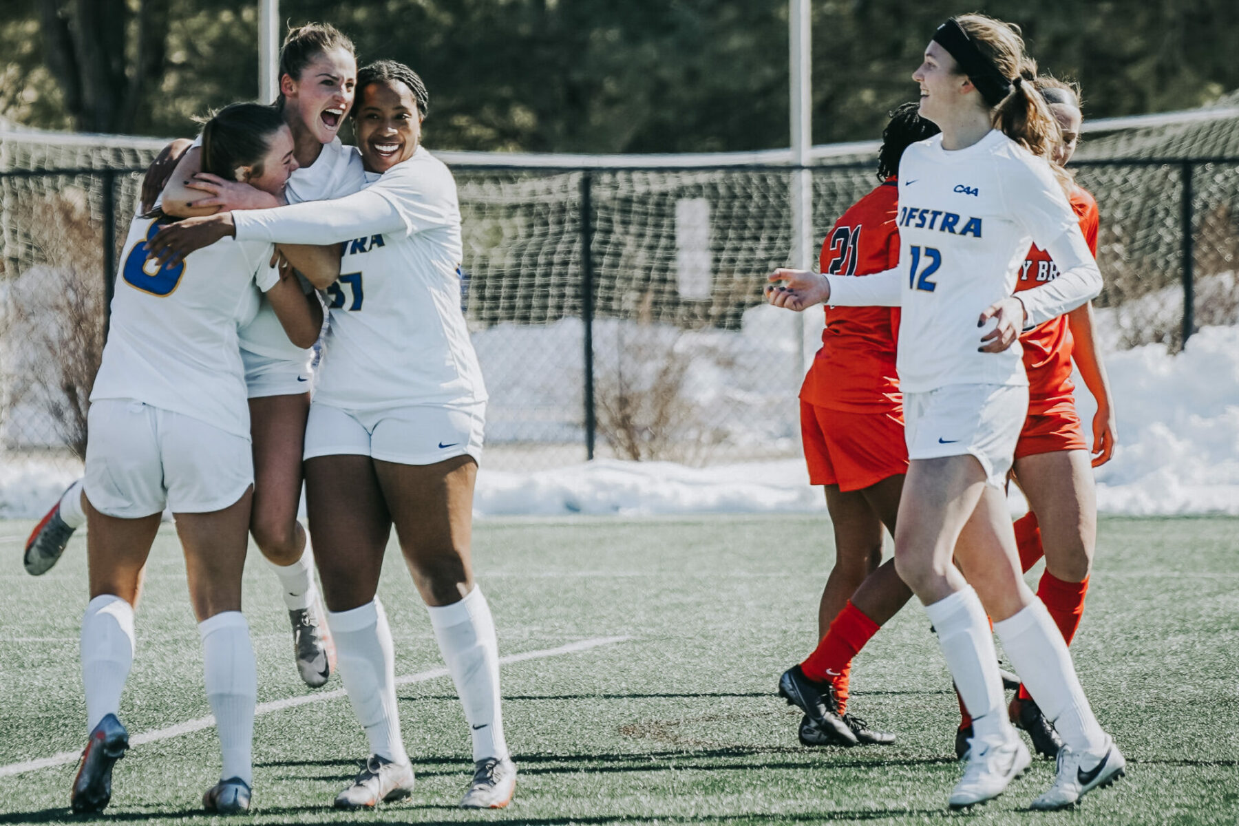 Hofstra University | Athleticademix