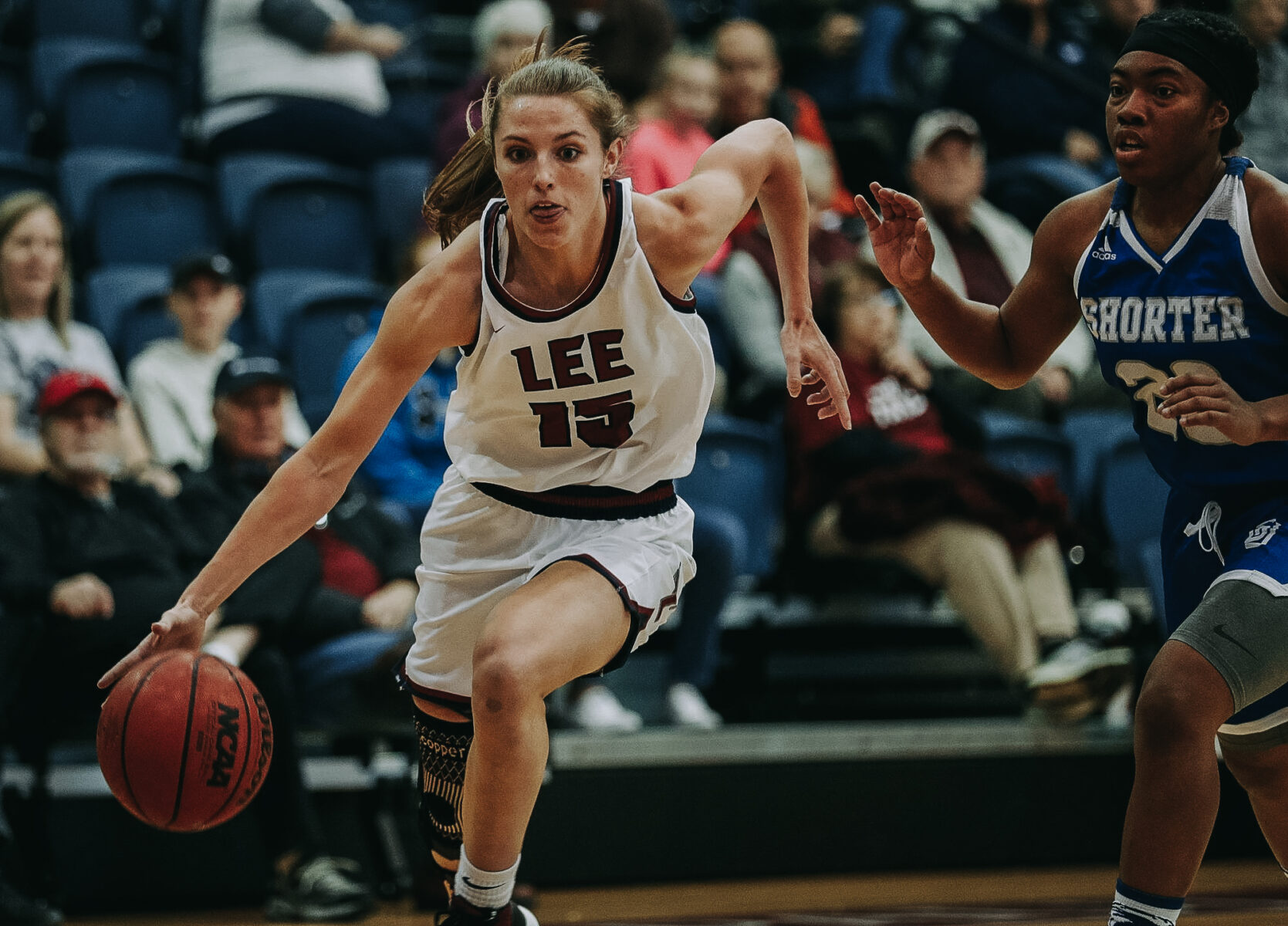 Lee University | Athleticademix