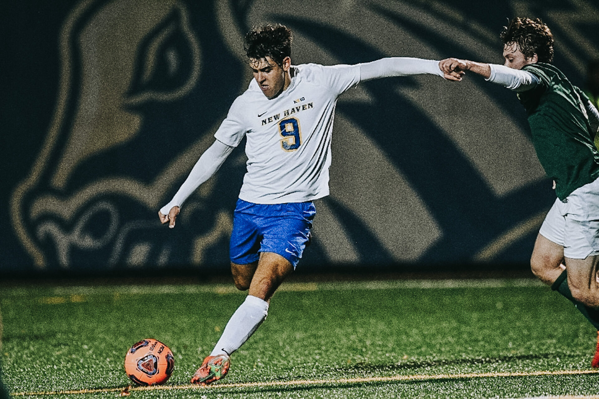 University of New Haven | Athleticademix